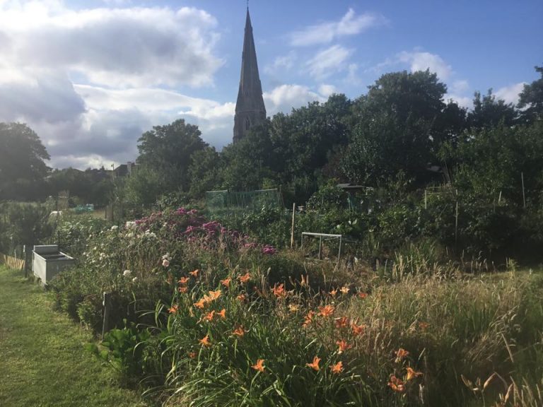 Churchfield Allotments - Weybridge Allotment Holders' and Gardeners ...